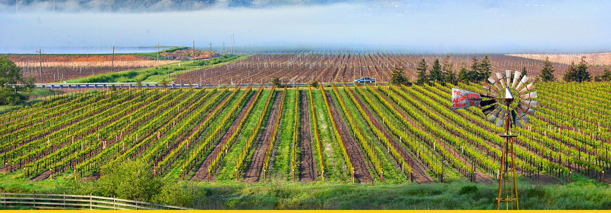 Adobe Road Ranch, Petaluma – Adobe Road Ranch, Petaluma